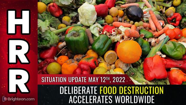 Situation Update, May 12 2022 - Deliberate food destruction accelerates ...