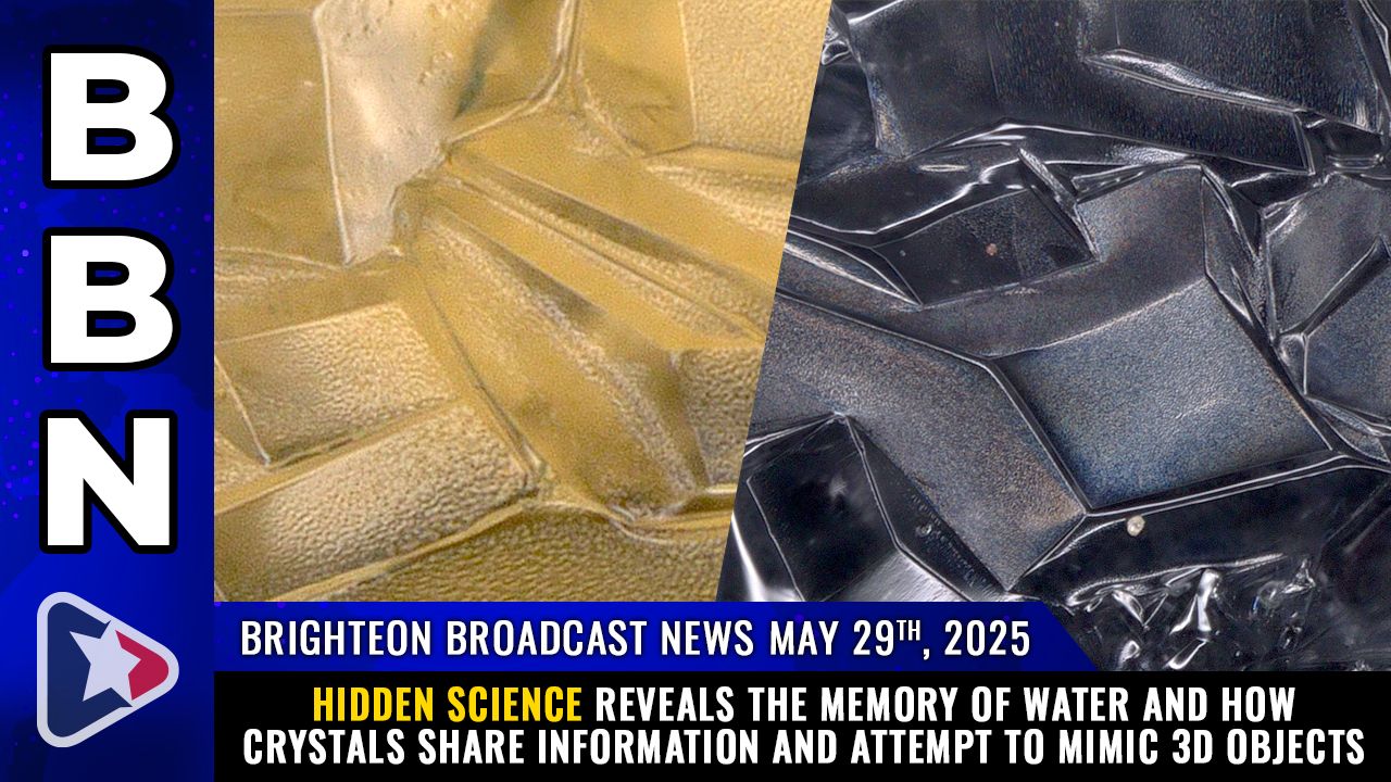 HIDDEN SCIENCE reveals the MEMORY of water and how crystals share ...